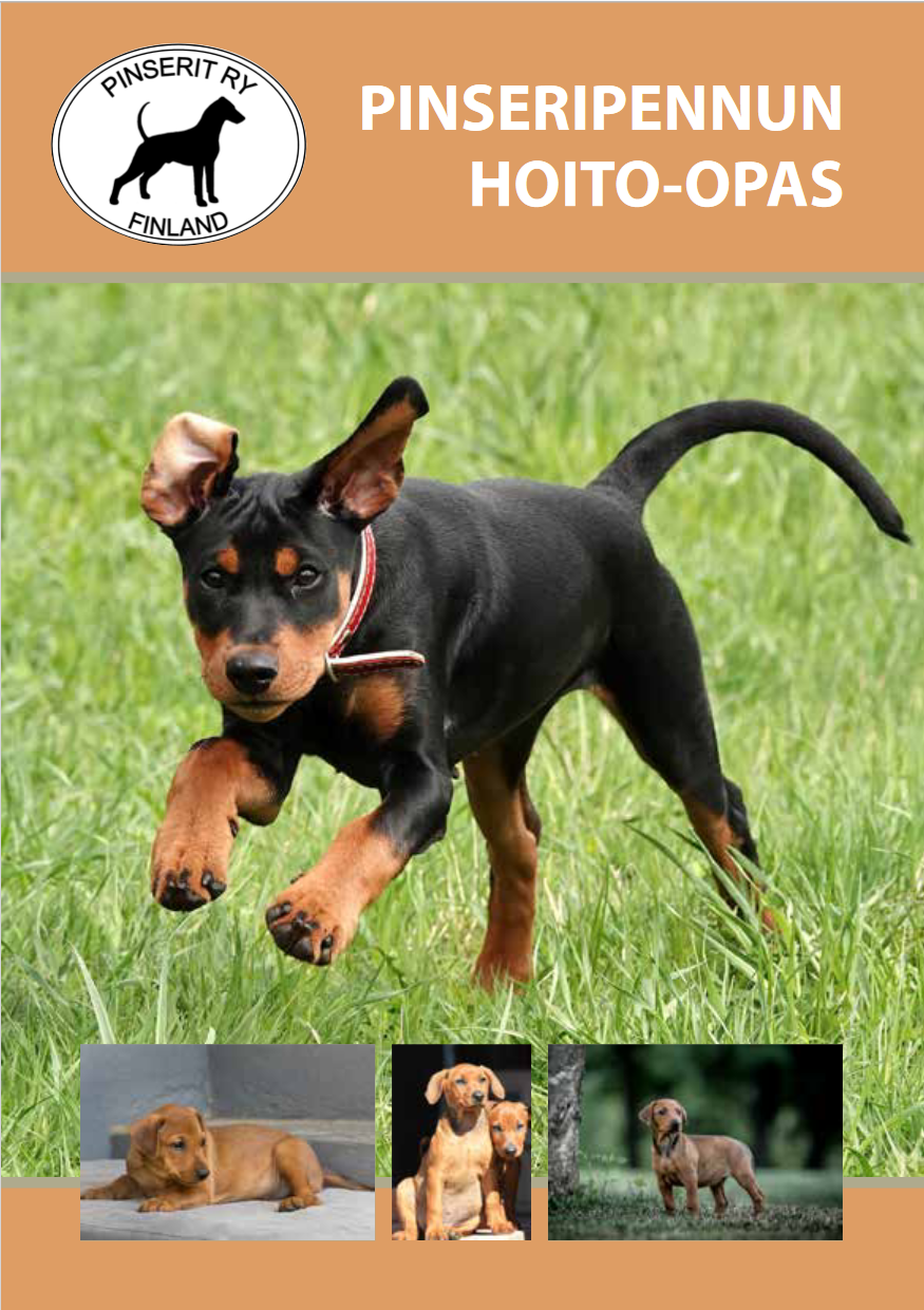 Esitteet - Pinserit ry